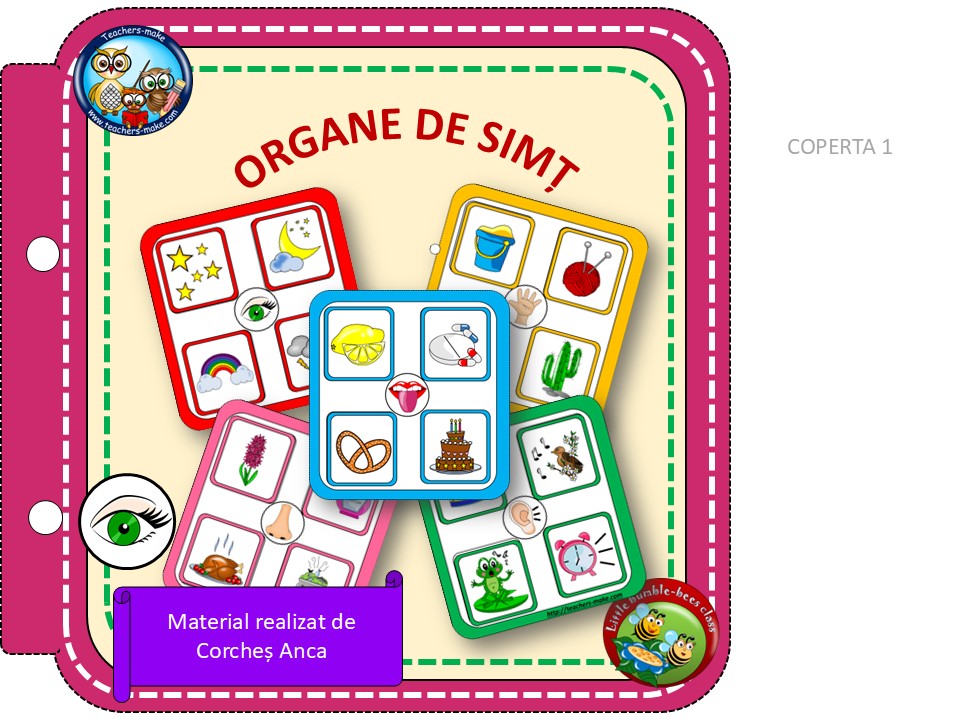ORGANE DE SIMȚ/Material destinat învățării/consolidării cunoștințelor ...